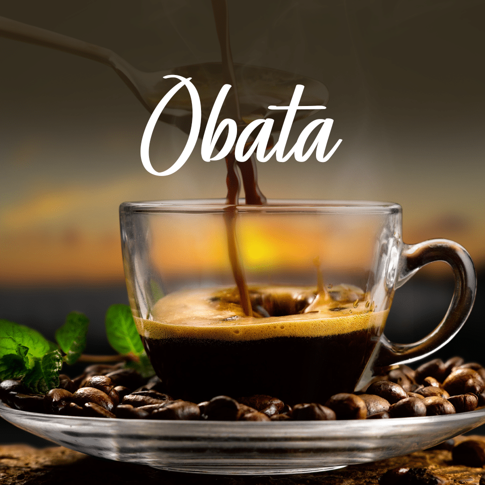 Obata Coffee Guide - Important Facts & Top Alternatives