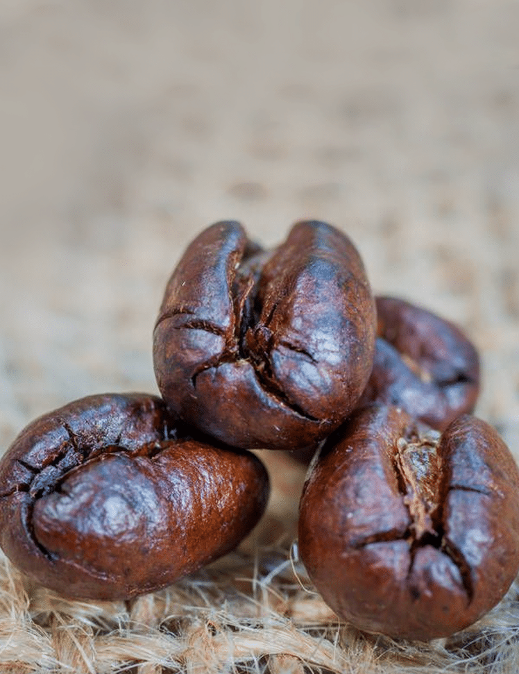 Exploring Peaberry Coffee - What Is So Special About it?