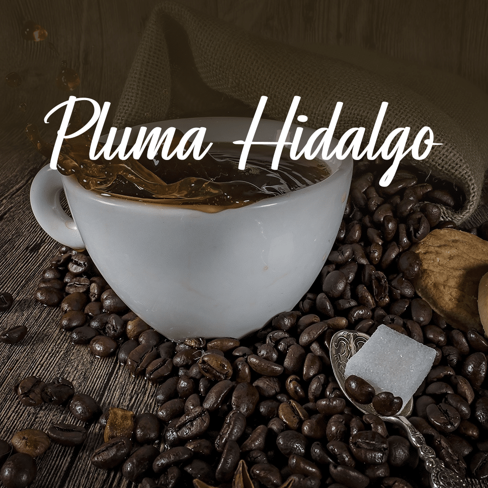 Pluma Hidalgo Coffee Beans - The Top Products Listed & Rated