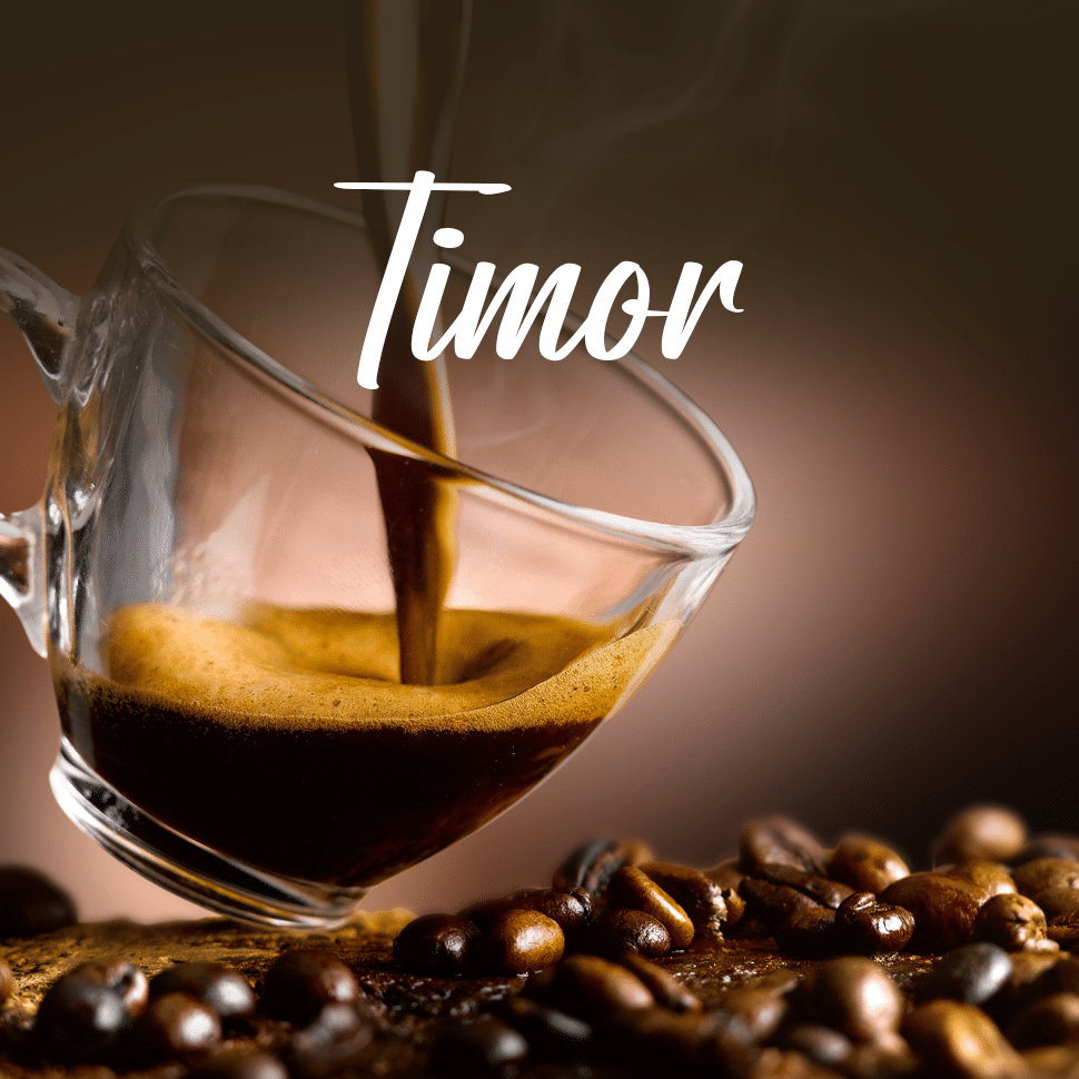 Timor Coffee Guide - Top Products & Interesting Facts