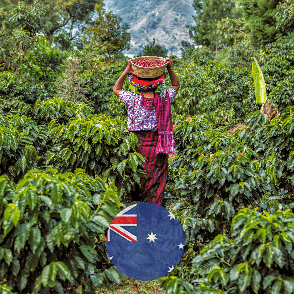 What is the most popular coffee in Australia & how can you get it?