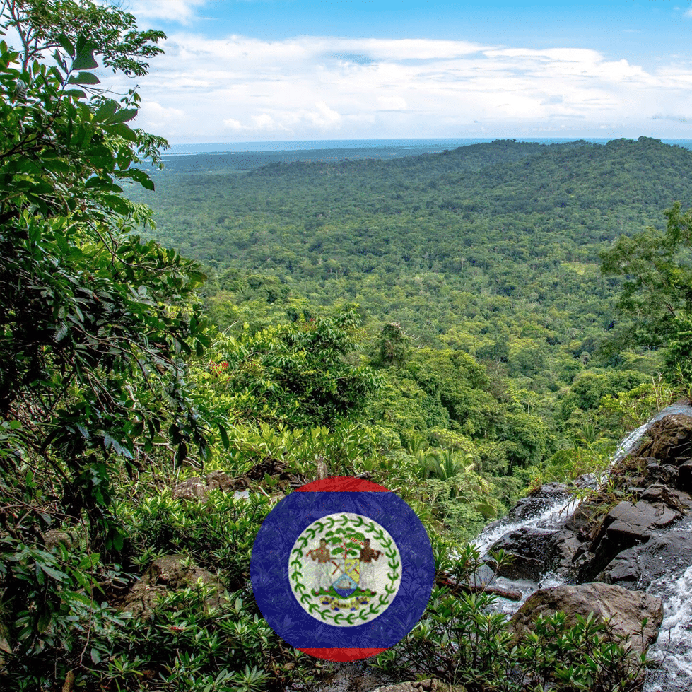 The Best Belize Coffee Beans - Top Products Listed & Rated