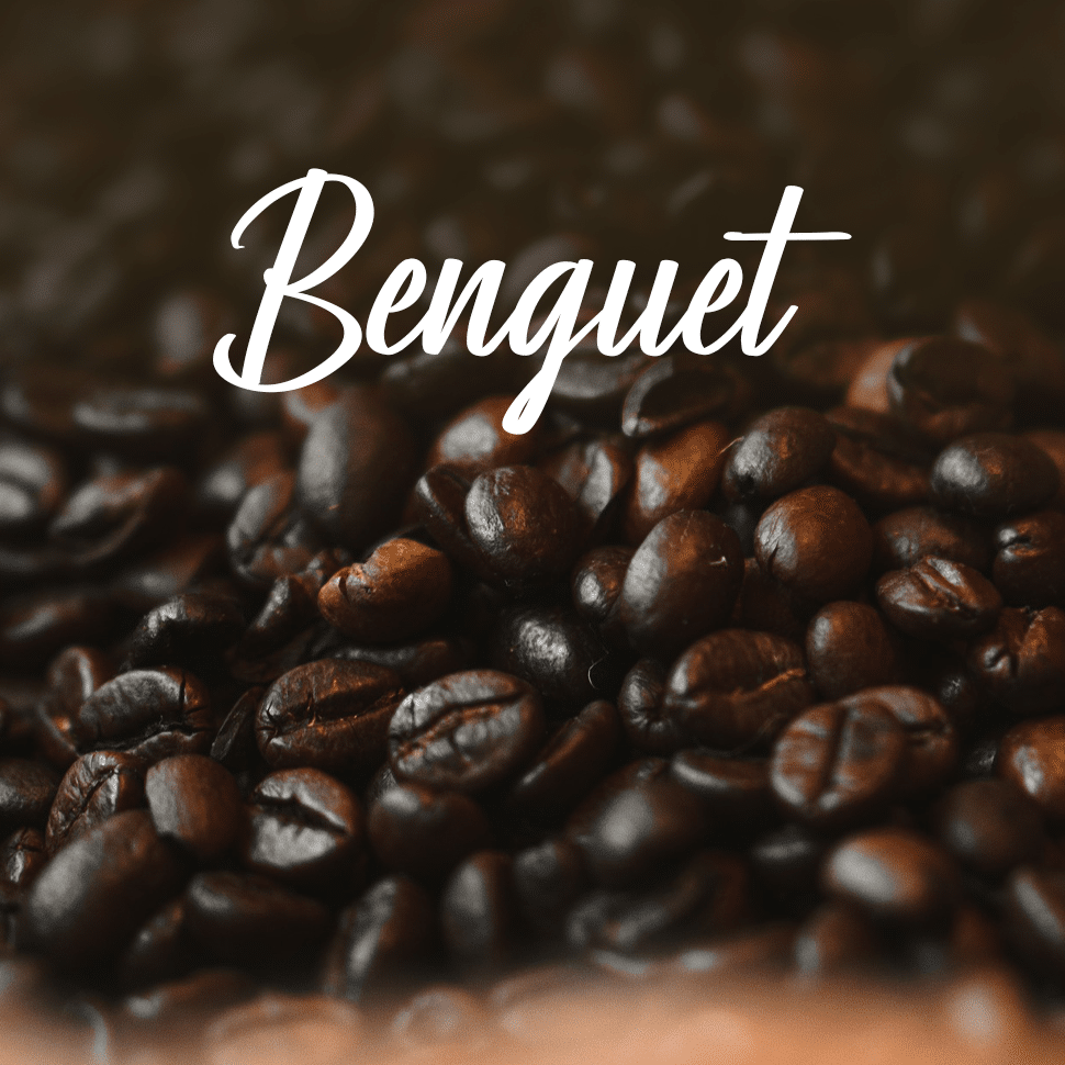 Benguet Coffee Beans - How to Buy, Brew and Taste | Easy Guides