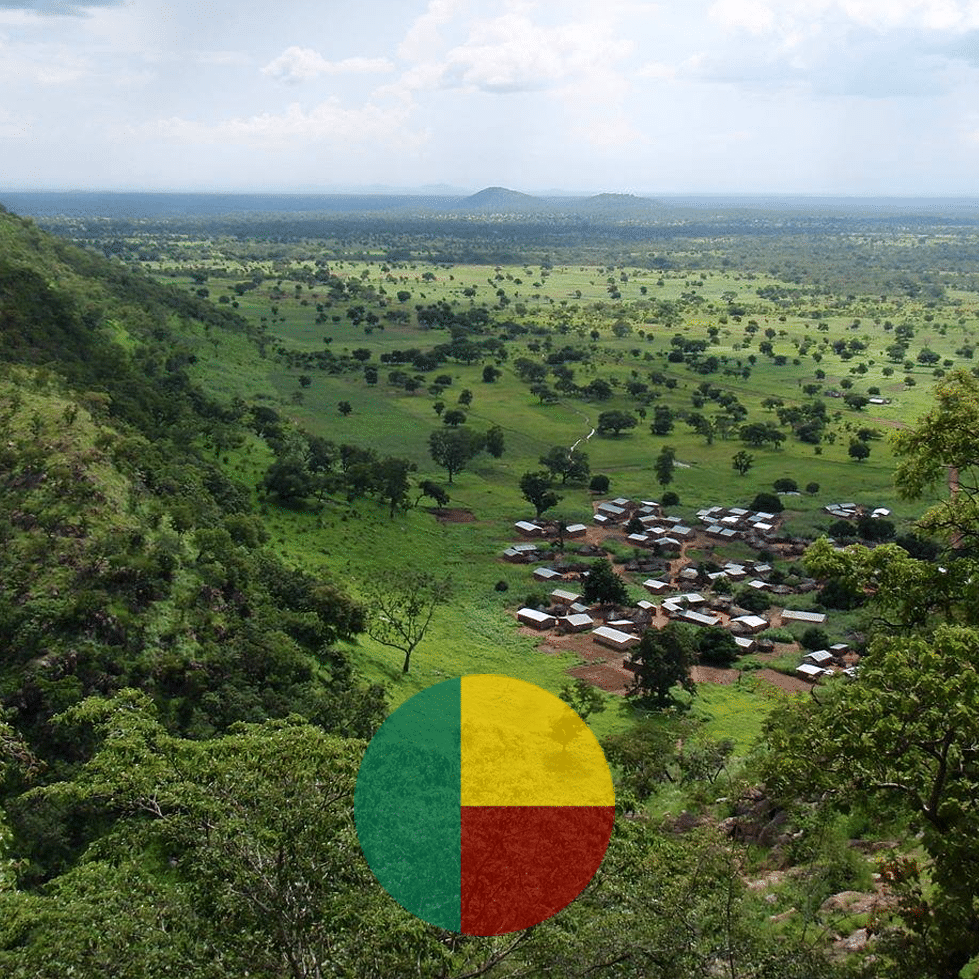 Benin Coffee Beans - Where to Purchase the Best Alternatives