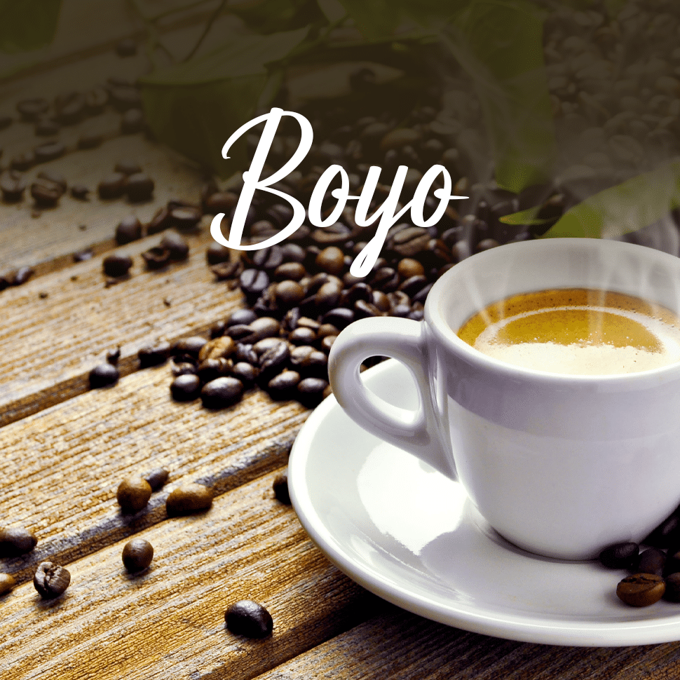 Boyo Coffee Guide - All You Need to Know About Cameroon Brew