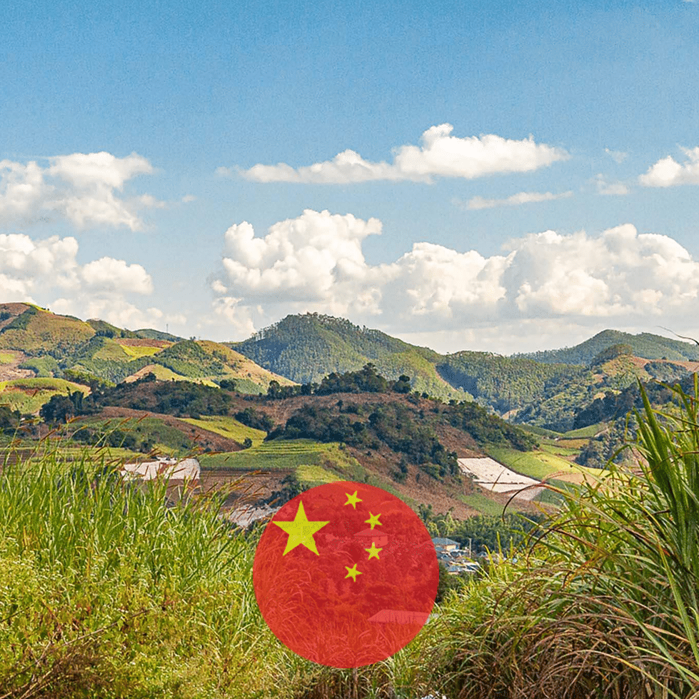 Chinese Coffee Guide - All You Need To Know About Yunnan Brew