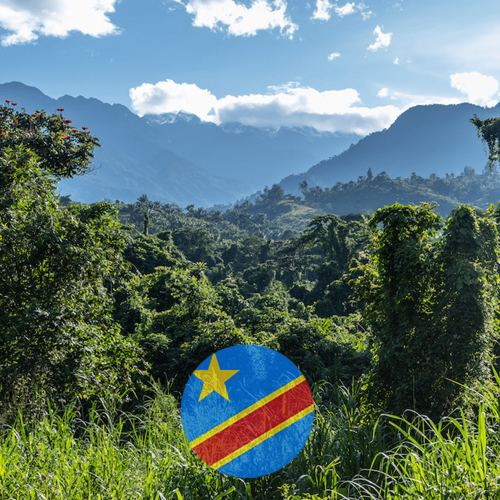 The Best Congo Coffee Beans 2021 - Check out our Top 5 List!