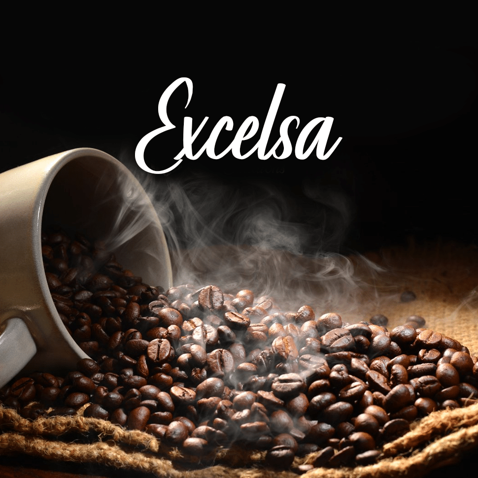 Excelsa coffee - What is so special about this offshoot of Arabica?