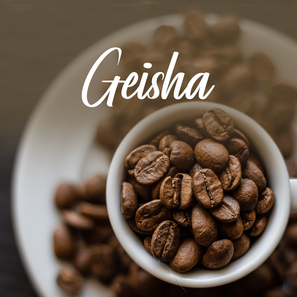 Geisha coffee beans - Find out why they are so unique and special