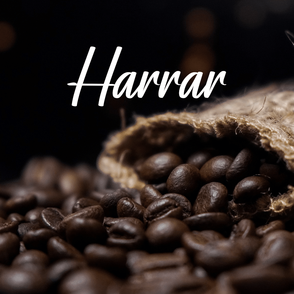 Harrar coffee - High-quality products from Ethiopia Listed & Rated