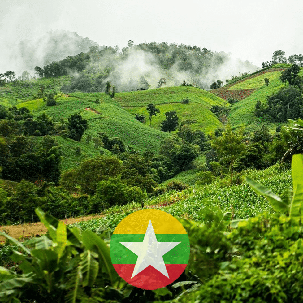 Myanmar coffee beans - top 5 options listed and rated