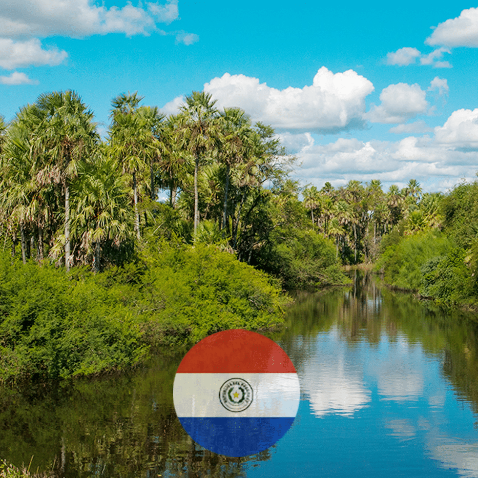 Paraguay Coffee Guide - Hard To Get Yet Delicious Beans