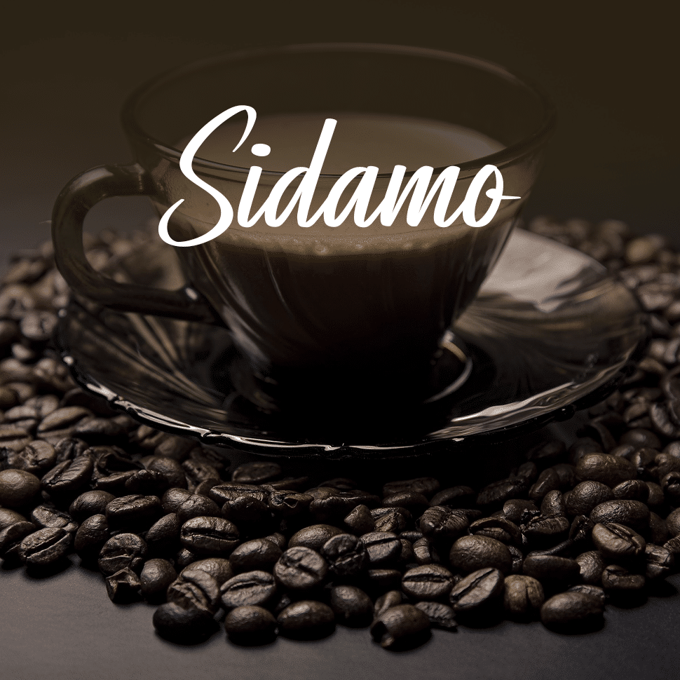 Sidamo Coffee - Best Coffee From Ethiopia | Top 5 List